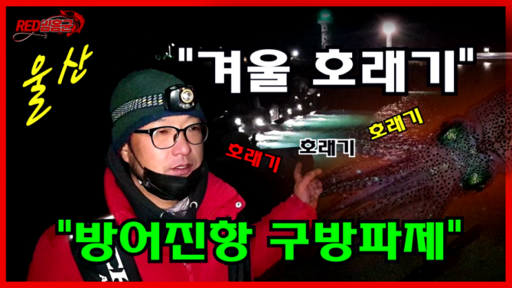 [울산] 두자릿수 조황이 가능한 "시간" 이 있다고? 방어진항 구방파제 호래기낚시 채비 winter sea small Beka ...