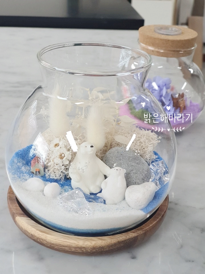기후변화에 관심 갖기 북극곰 생각하며 스칸디아모스 프리저브드 플라워와 함께 겨울 표현 무드등 테라리움 Diy 원예 키트