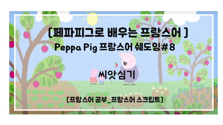 [페파피그로 프랑스어 공부 ] Peppa pig프랑스어 쉐도잉_8편 _델프(delf)준비하기_프랑스어 스크립트 : 네이버 블로그