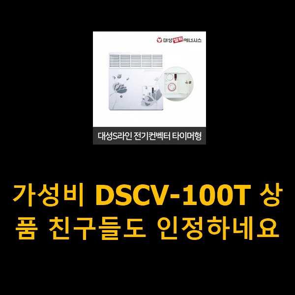 가성비 DSCV-100T 상품 친구들도 인정하네요 : 네이버 블로그