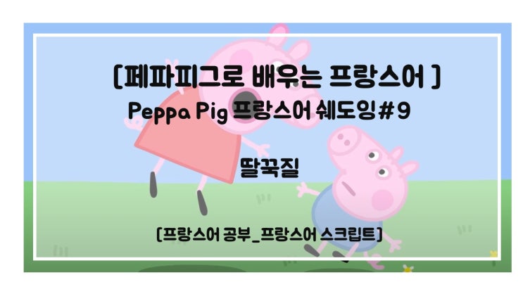 [페파피그로 프랑스어 공부 ] Peppa pig프랑스어 쉐도잉_9편 _델프(delf)준비하기_프랑스어 스크립트 : 네이버 블로그