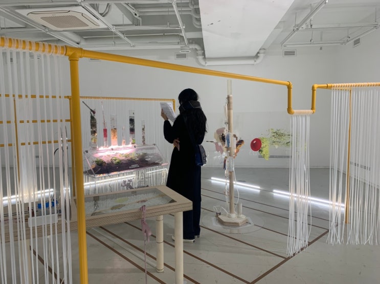 안솔지 개인전 _ART SPACE BOAN 2 : 네이버 블로그