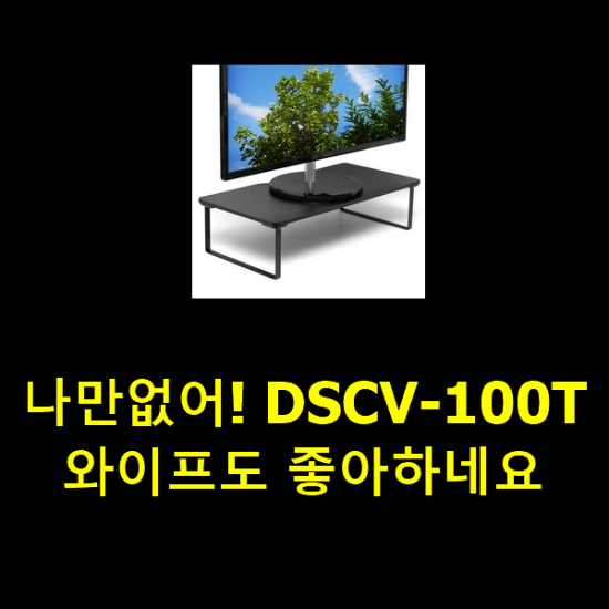 나만없어! DSCV-100T 와이프도 좋아하네요 : 네이버 블로그