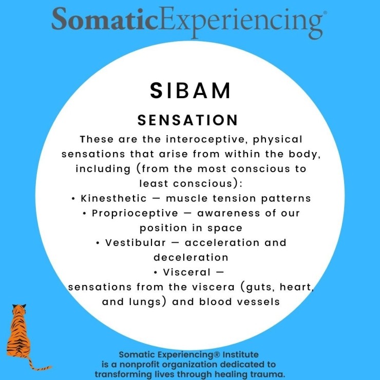 SIBAM : 네이버 블로그