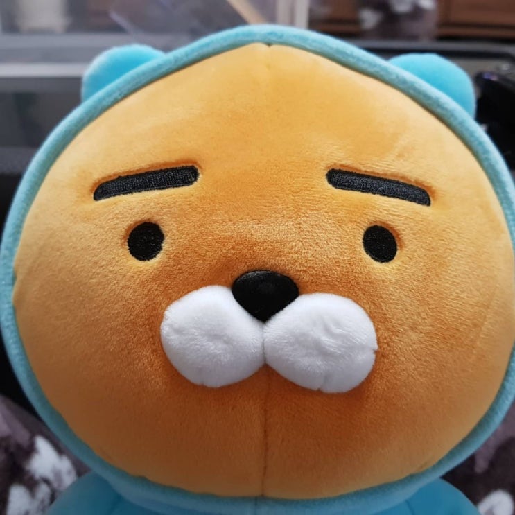 카카오프랜즈 라이언 귀여움에 이쁨추가~♥ : 네이버 블로그