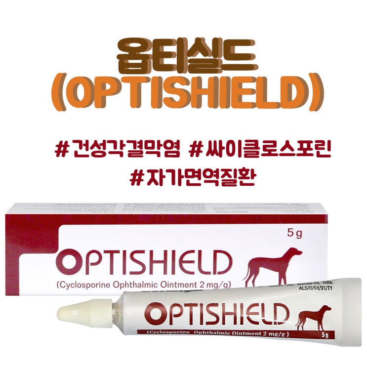 (제품 소개) 강아지 만성 건성각결막염 치료제 - 옵티실드(OPTISHIELD) : 네이버 블로그