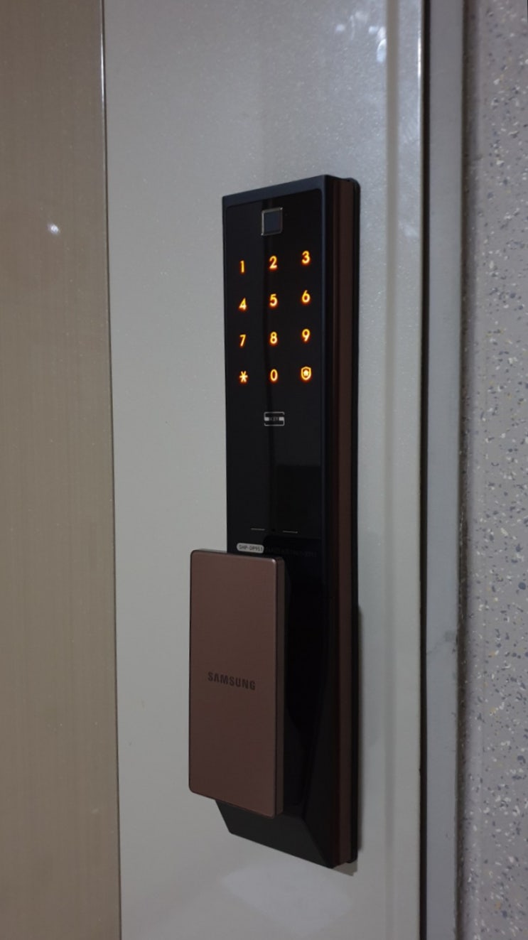 춘천 퇴계동 이안 아파트 삼성 지문인식 푸시풀 도어락 SHP-DP951 설치 : 네이버 블로그