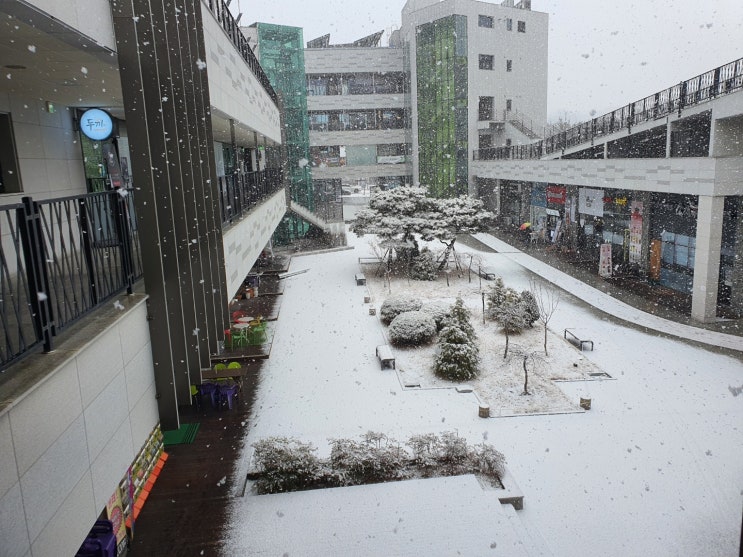 오창필라테스 키즈 청소년도 합니다 기구필라테스 에비뉴필라테스 네이버 블로그