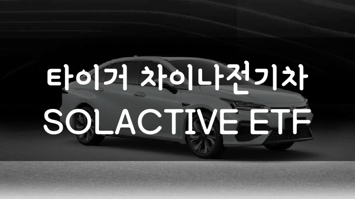 중국 전기차 관련 주식에 투자하고 싶다면? TIGER 차이나전기차 SOLACTIVE ETF 분석 : 네이버 블로그
