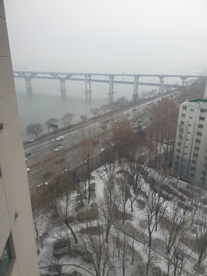 초기 감기에는 테라플루 강추 : 네이버 블로그