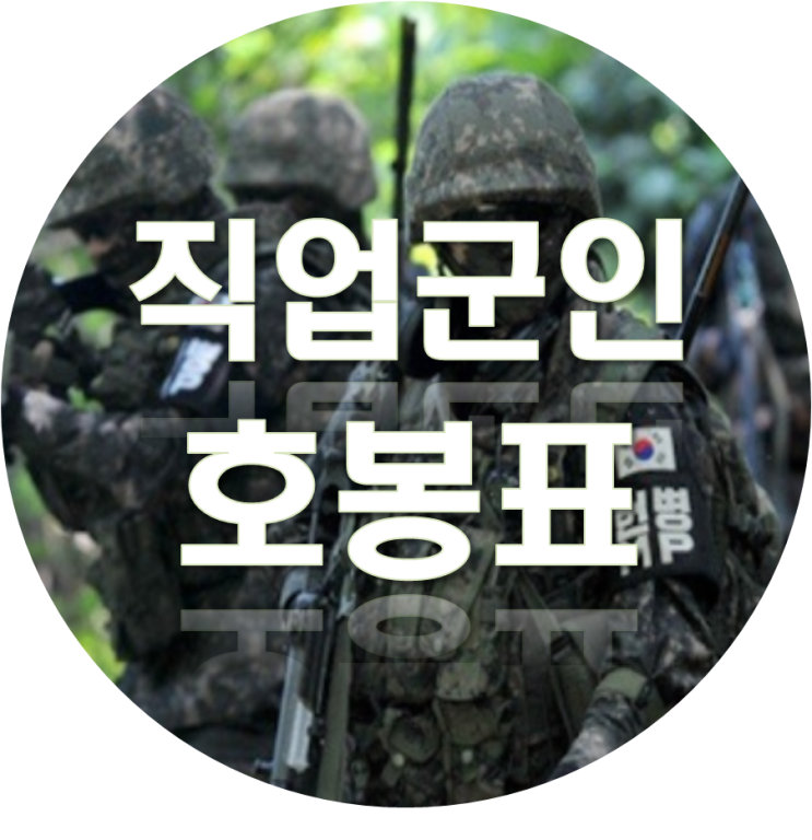 직업 군인 호봉표 부사관 준위 장교위관 영관 장성급 군대 계급별 계산법 네이버 블로그