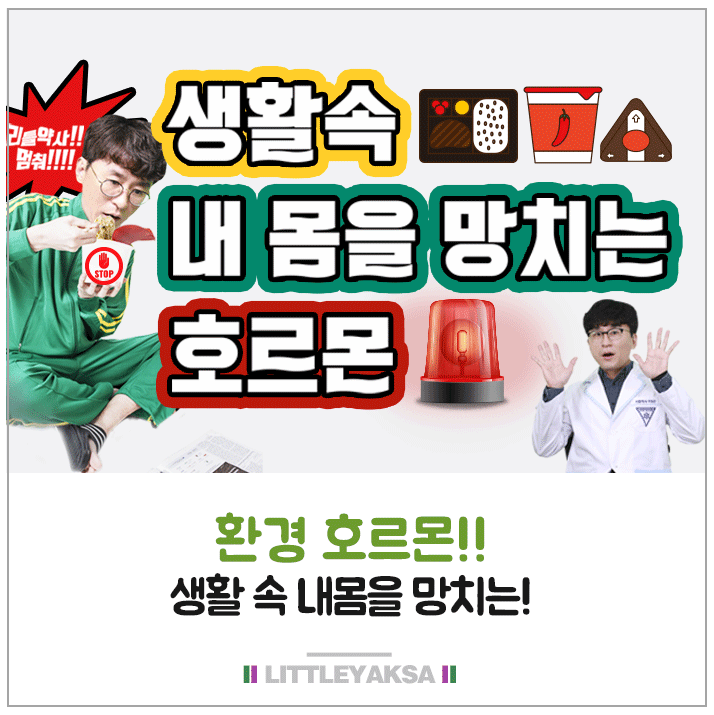 환경호르몬 폴리프로필렌 폴리에틸렌프탈레이트비스페놀 영향 네이버 블로그