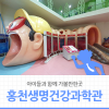 랜선여행 아이들과 함께 가볼만한곳 홍천생명건강과학관 네이버 블로그