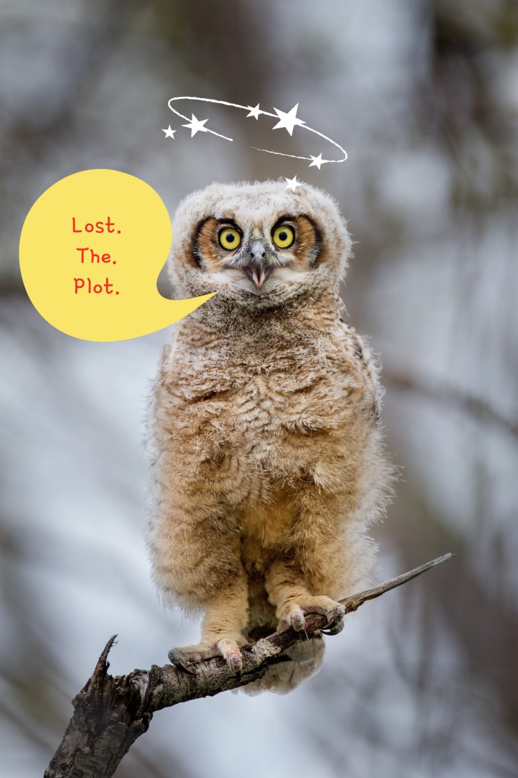 영국 슬랭 slang 알아보기 9: lose the plot : 네이버 블로그