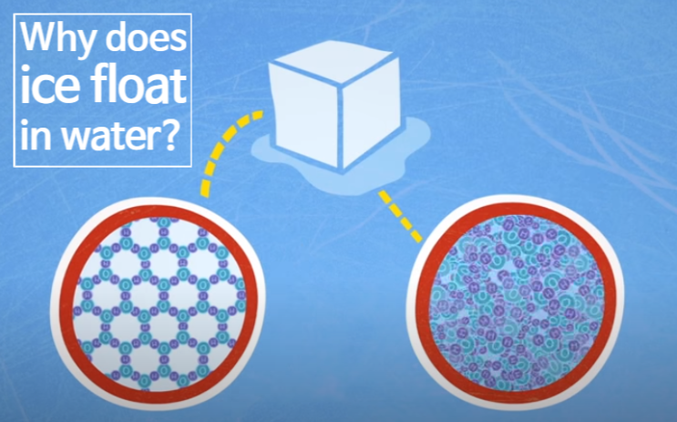왜 얼음은 물 위에 뜰까요? Why does ice float in water? (feat. TED Ed) : 네이버 블로그