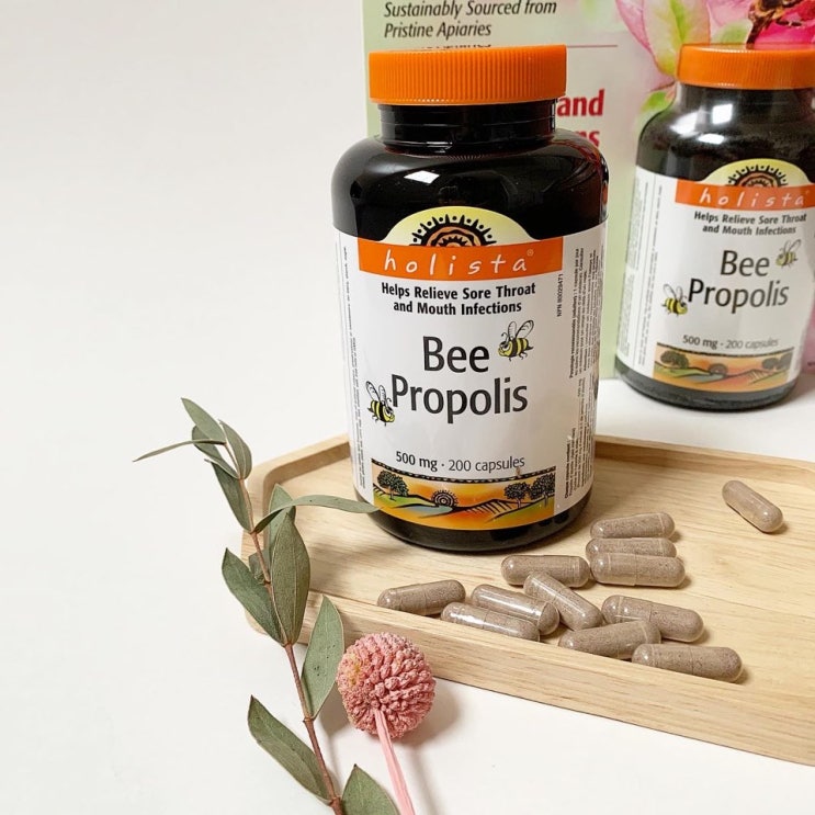 홀리스타 비 프로폴리스 500mg 200캡슐 대용량 / Holista bee propolis 500mg 200capsules ...
