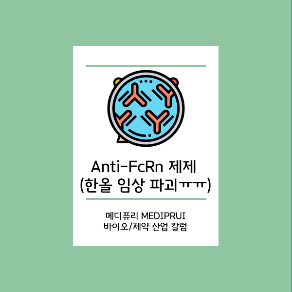 주목 받는 신 기전, Anti-FcRn 제제 (한올바이오 HL161 임상 중단에 대한 생각) : 네이버 블로그