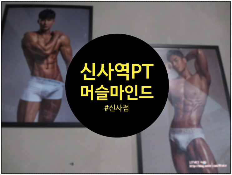 신사역pt 머슬마인드 신사점에서 개인pt로 바디체인지 도전 네이버 블로그