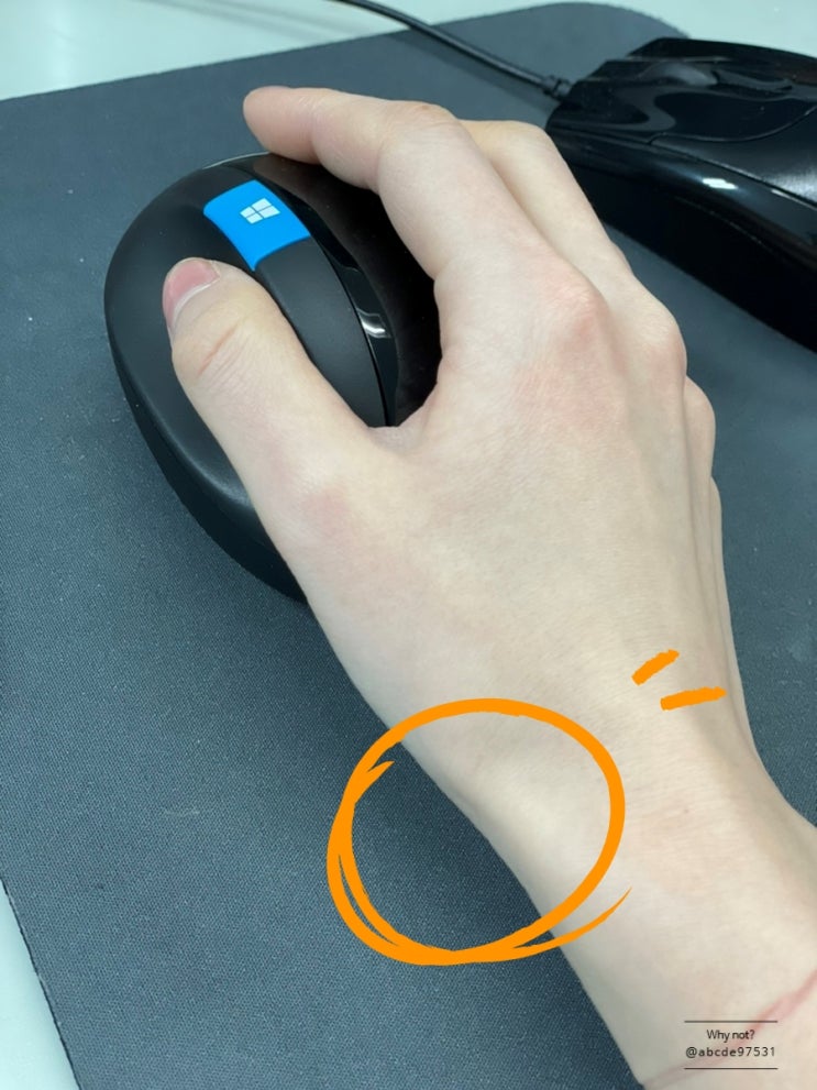 마이크로소프트 스컬프트 에고노믹 버티컬마우스 사용기 Ms Sculpt Ergonomic Mouse 네이버 블로그