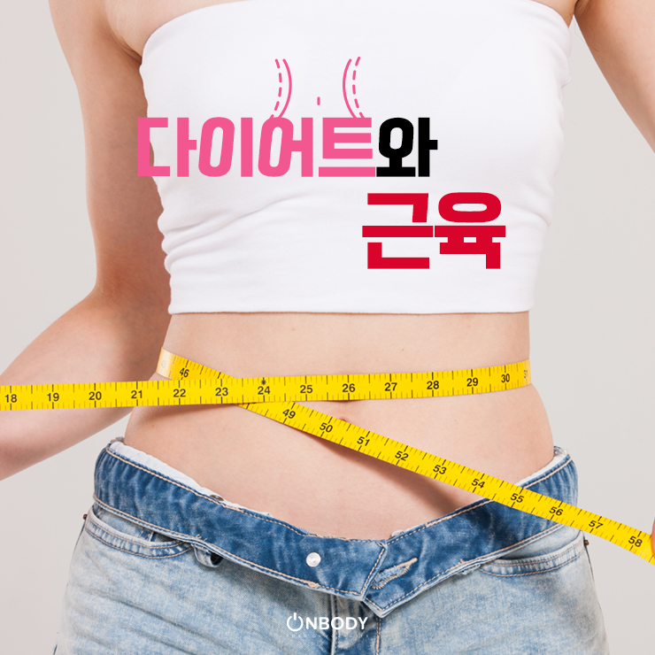 다이어트할 때 중요한 기초대사량 근육과 무슨 관계 네이버 블로그