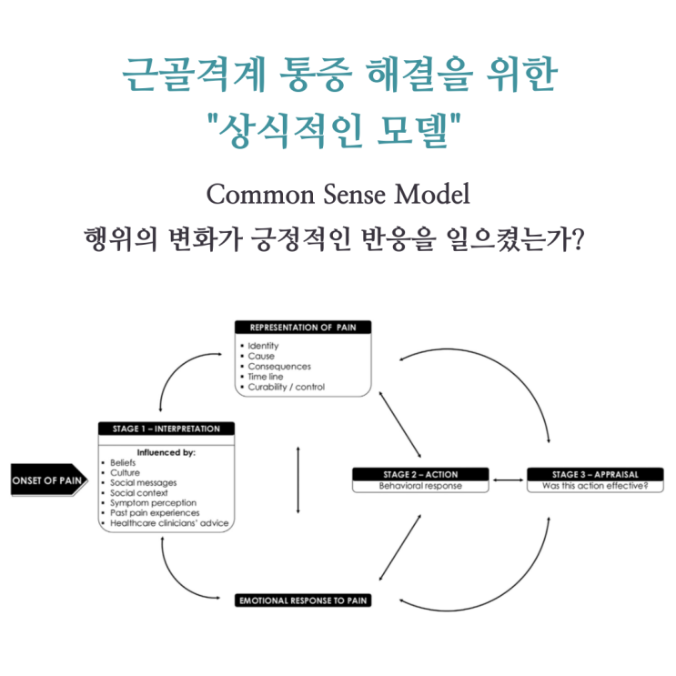 근골격계 통증 해결을 위한 '상식적인 모델(common sense model)" : 네이버 블로그