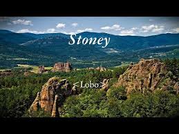Stoney - Lobo : 네이버 블로그
