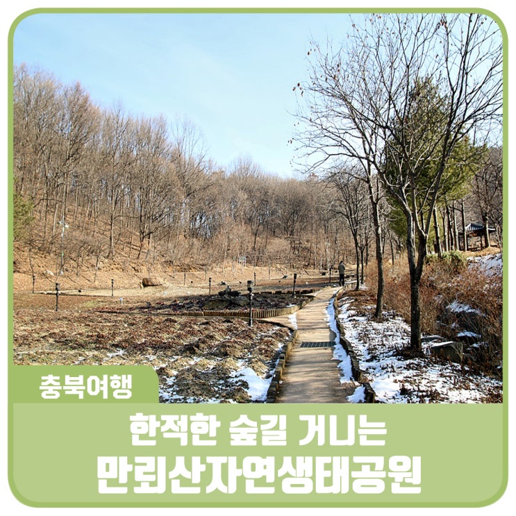 설 연휴 가볼 만한 우리동네 명소 진천 만뢰산자연생태공원 겨울 숲 산책 네이버 블로그