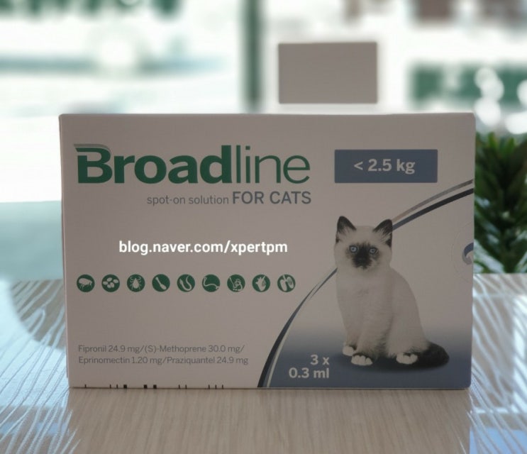 브로드라인® Broadline® for cats 바르는 고양이 심장사상충약 동물약국 청주동물약국 늘봄동물약국 : 네이버 블로그