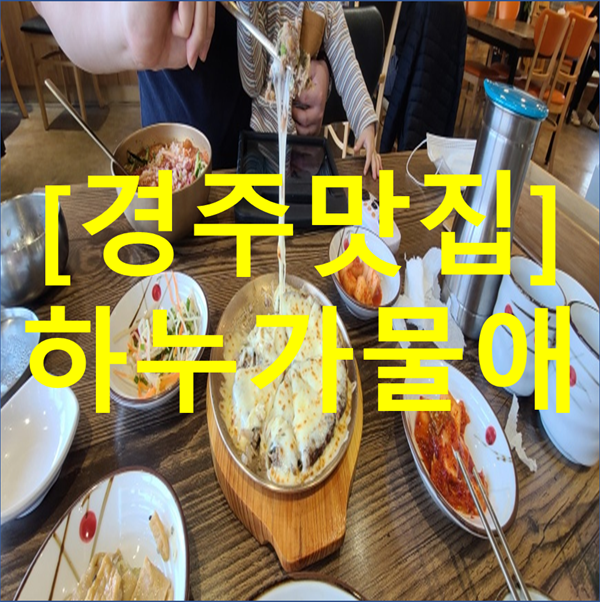 경주 맛집 하누가물애 한우물회 맛집 네이버 블로그