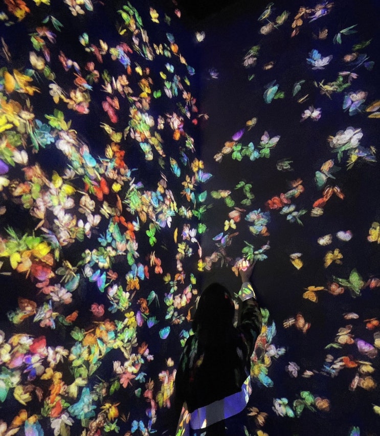 팀랩 라이프 전시회 관람 teamLab:LIFE : 네이버 블로그