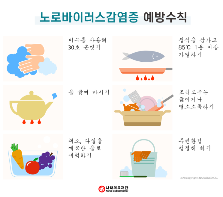 겨울철 장염 노로바이러스전염 증상 음식 원인 예방수칙 네이버 블로그