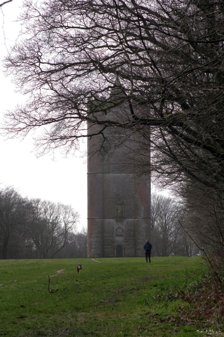 [영국 Somerset] King Alfred's Tower (알프레드 대왕 타워) = Stourton Tower ...