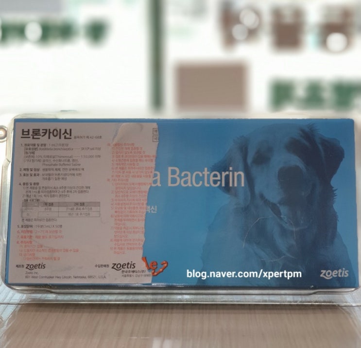 브론카이신 Bronchicine 강아지 켄넬코푸백신 동물약국 청주동물약국 늘봄동물약국 : 네이버 블로그