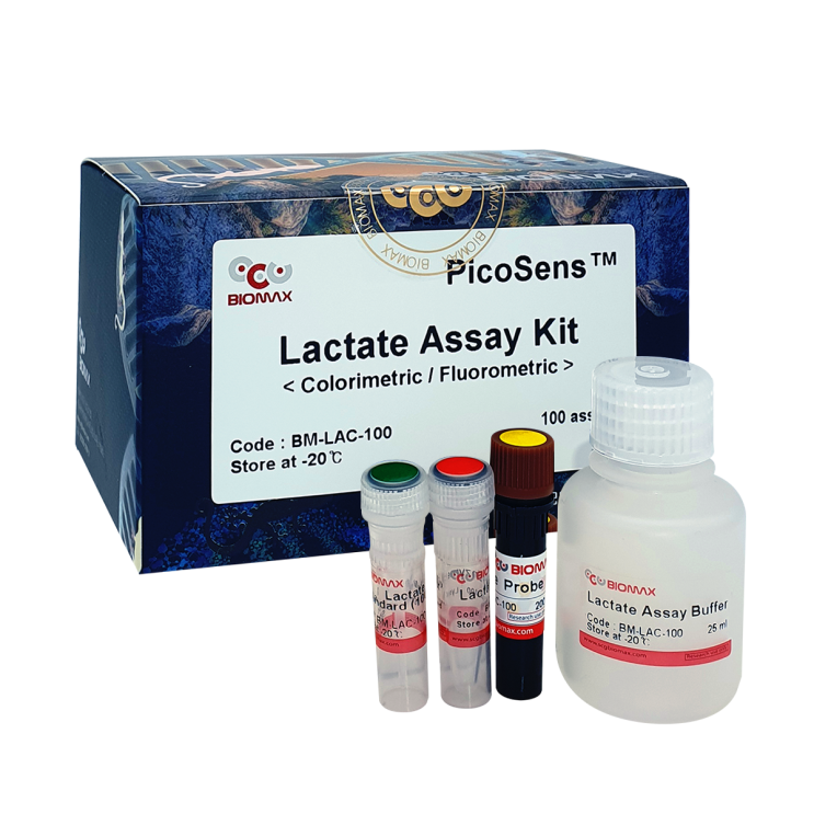 Lactate Assay Kit : 네이버 블로그