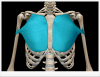 해부학 근육학 얕은가슴근육 큰가슴근대흉근ㆍpectoralis Major 네이버 블로그