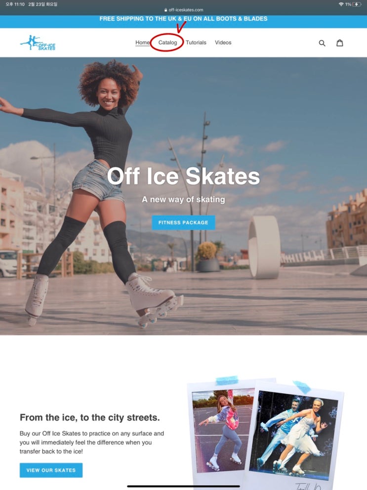 Off-ice skate/ 인라인피겨 해외직구/ 피겨스케이팅/오프아이스 블레이드, 바퀴 구입방법/ artistic skating ...