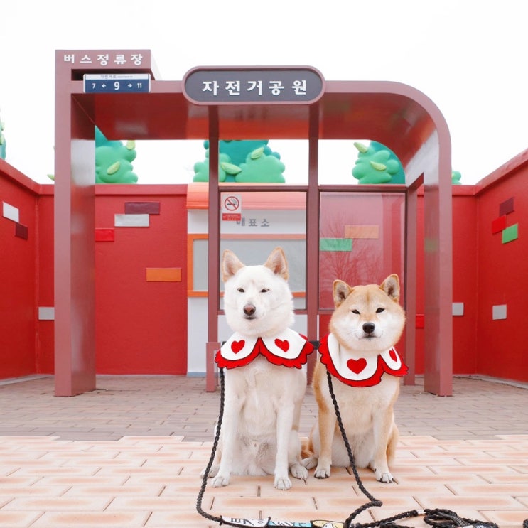 증평 자전거공원 서울근교애견동반 당일치기여행 사진찍기좋은곳 아이와함께가기좋은곳 주말에가볼만한곳 출사가기좋은곳 동화속