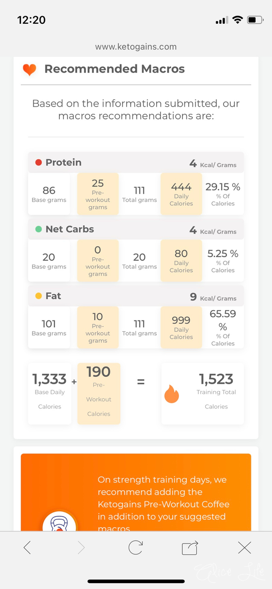 28일 리셋 4주차(2.16~2.22) 키토준비, 초롱이 화상, 자취방 충격 : 네이버 블로그