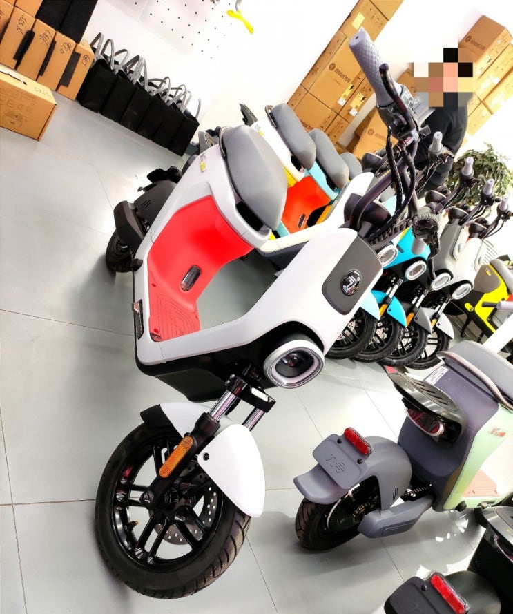 세그웨이 나인봇 C80 전기자전거 [내돈내산] : 네이버 블로그