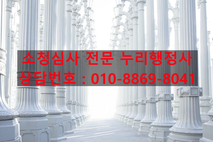 공무원 소청심사 사례중 직무수행능력 부족으로 직위해제 처분을 받고 소청심사청구 후 취소 된 사례 네이버 블로그