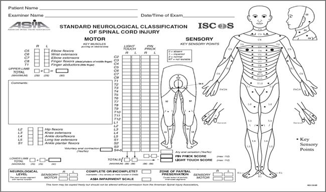 척수손상(Spinal Cord Injury ; SCI) : 네이버 블로그