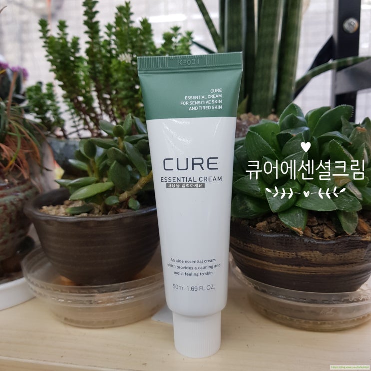 외국인도 알고 있는 알로에진정크림 김정문알로에 큐어 에센셜크림 사용후기 입니다 네이버 블로그