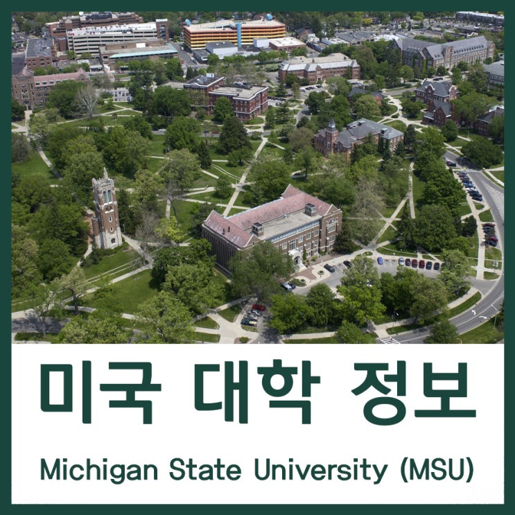 [미국대학] Michigan State University (MSU) 미시간 주립 대학교 합격 및 입학 정보 : 네이버 블로그