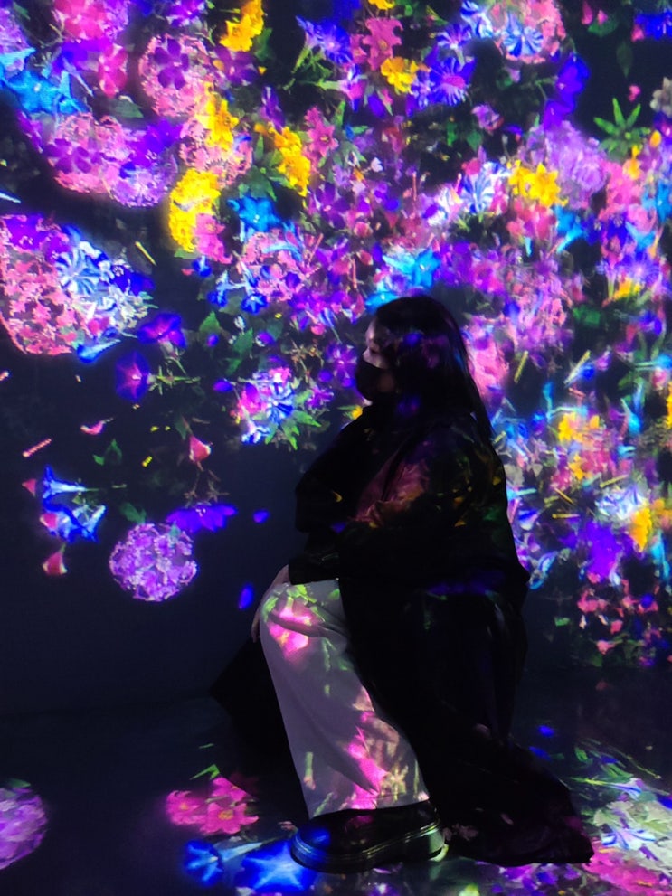 팀랩라이프(teamLab: LIFE) 미디어 전시, DDP 동대문 3월전시회 추천 : 네이버 블로그