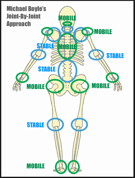 광교pt [피트니스 그순간] 체형 개선 운동 -1 (상지 교차 증후군) : 네이버 블로그