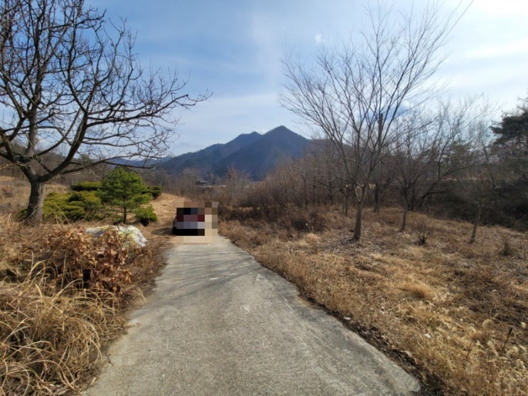 군위땅 삼국유사면 658평 전망좋은 토지매매 군위부동산 : 네이버 블로그