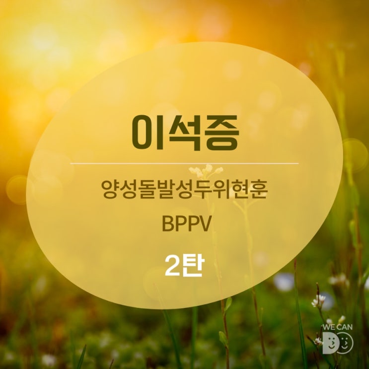 이석증, 양성돌발성두위현훈, BPPV (2) : 네이버 블로그