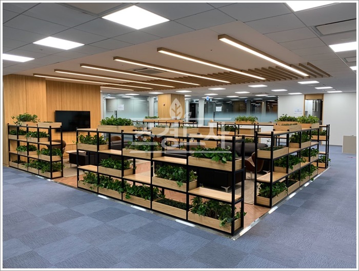 [조경도사] 판교 SK인포섹 플랜테리어 파티션/식물파티션/화분파티션/칸막이화분/그린오피스/그린테리어/사무실 조경 인테리어 ...