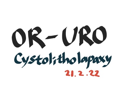 Cystolitholapaxy : 네이버 블로그