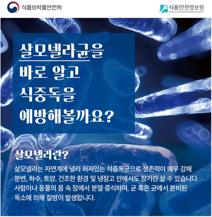 살모넬라 식중독 예방법 알아보기 네이버 블로그